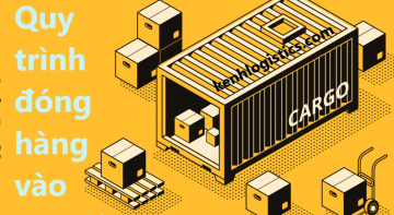 House Bill of Lading (HBL) Là Gì? Mẫu HBL và Cách Làm HBL